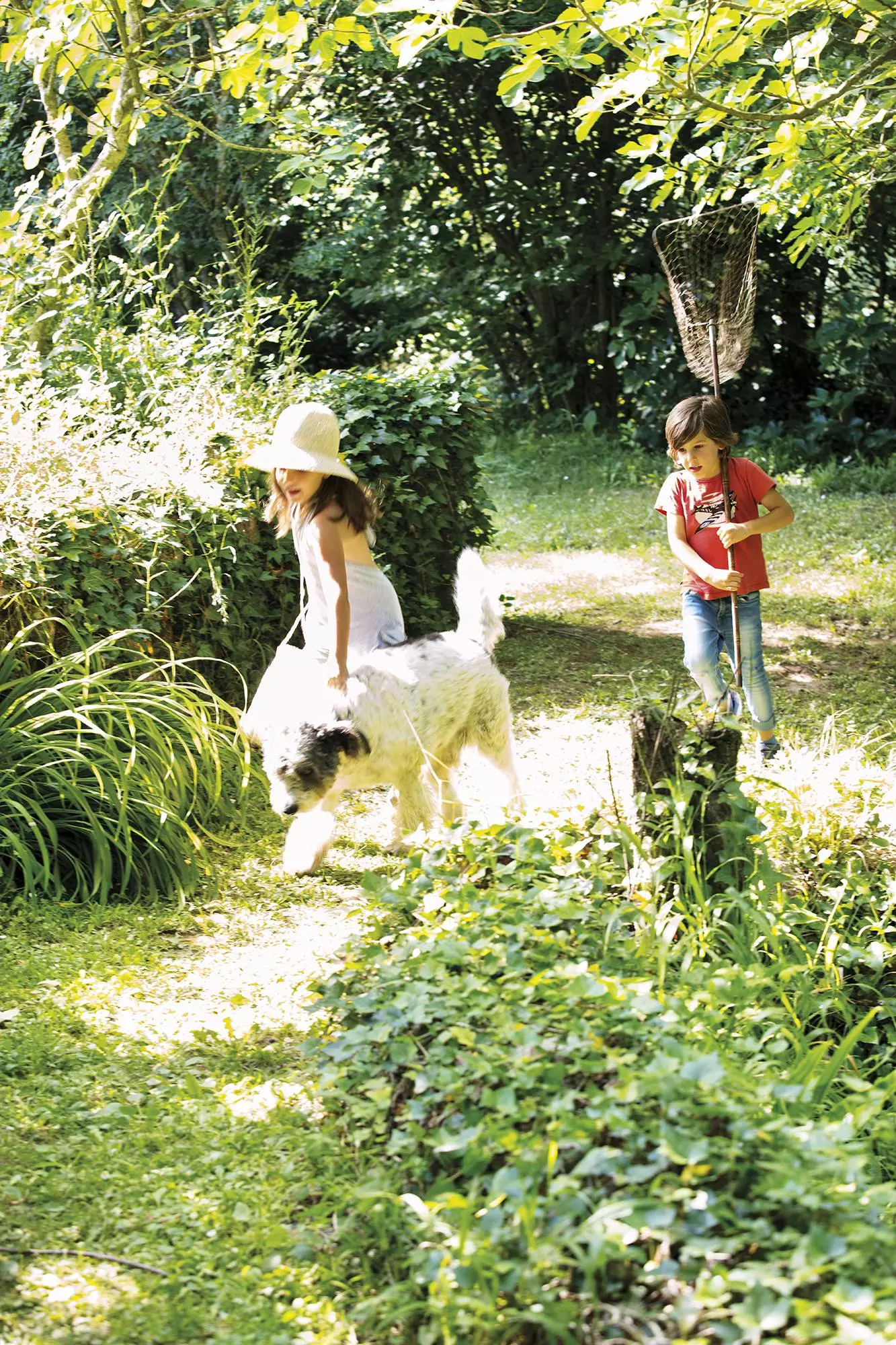 Bambini che passeggiano nel bosco 00472130