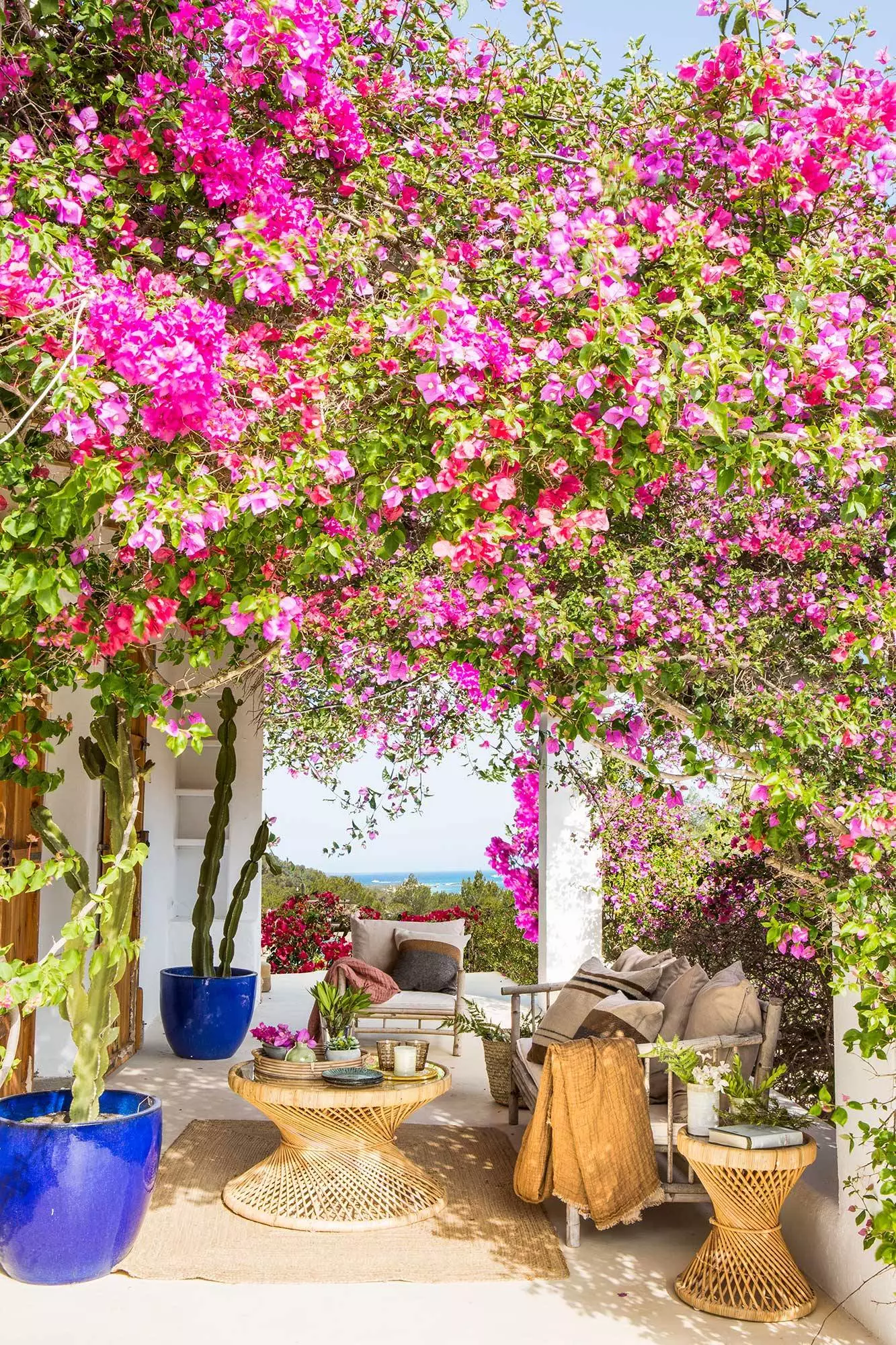 Sommerhusveranda med bougainvillea og havutsikt 00508667