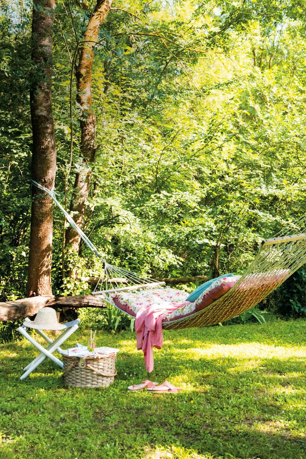 hammock-tween-trees 00460554