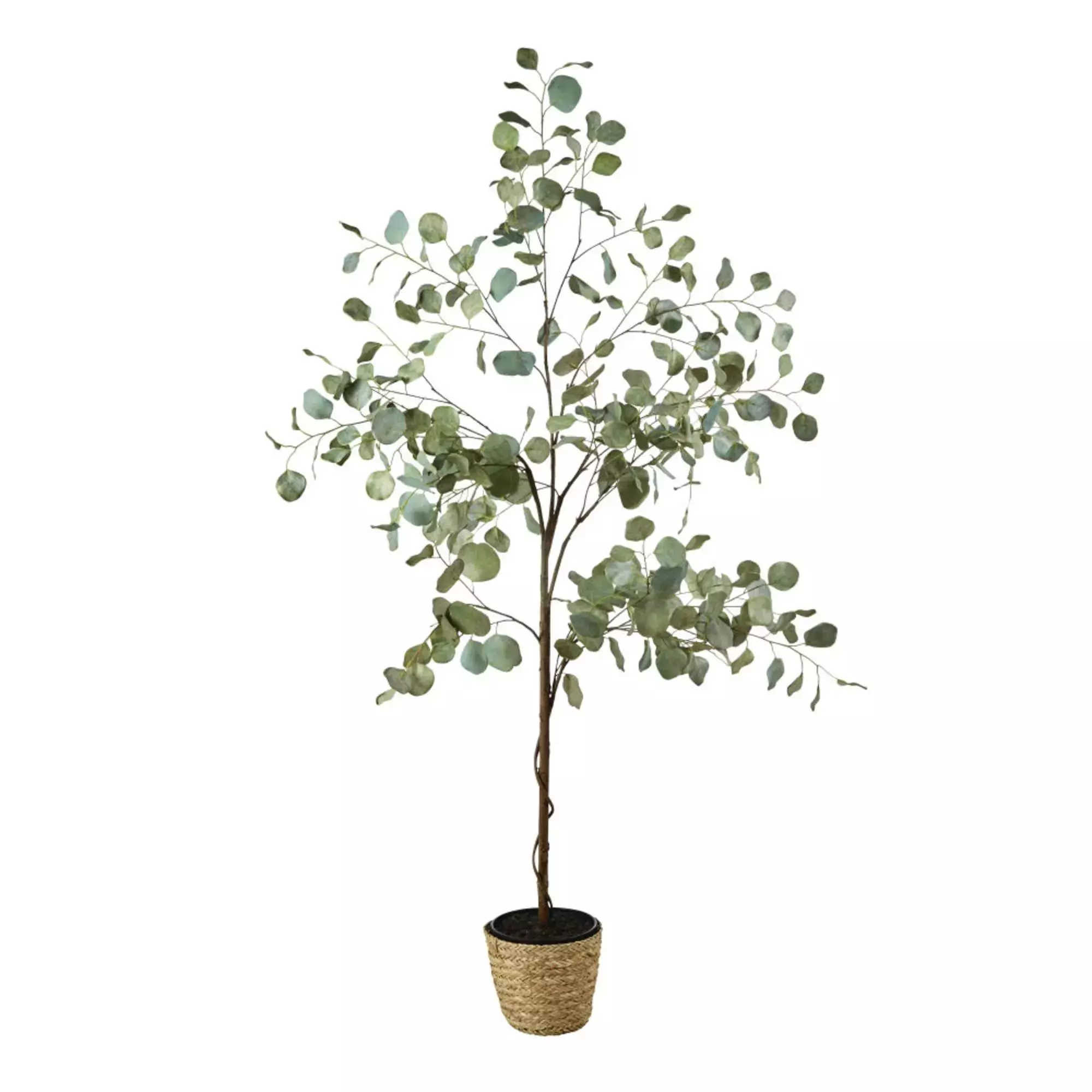 Artificial-eucalyptus-with-braided-pot Mary, by Maisons du Monde